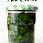 How to Make Mint Extract | The Taste of Kosher