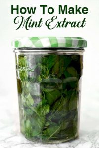 How to Make Mint Extract | The Taste of Kosher